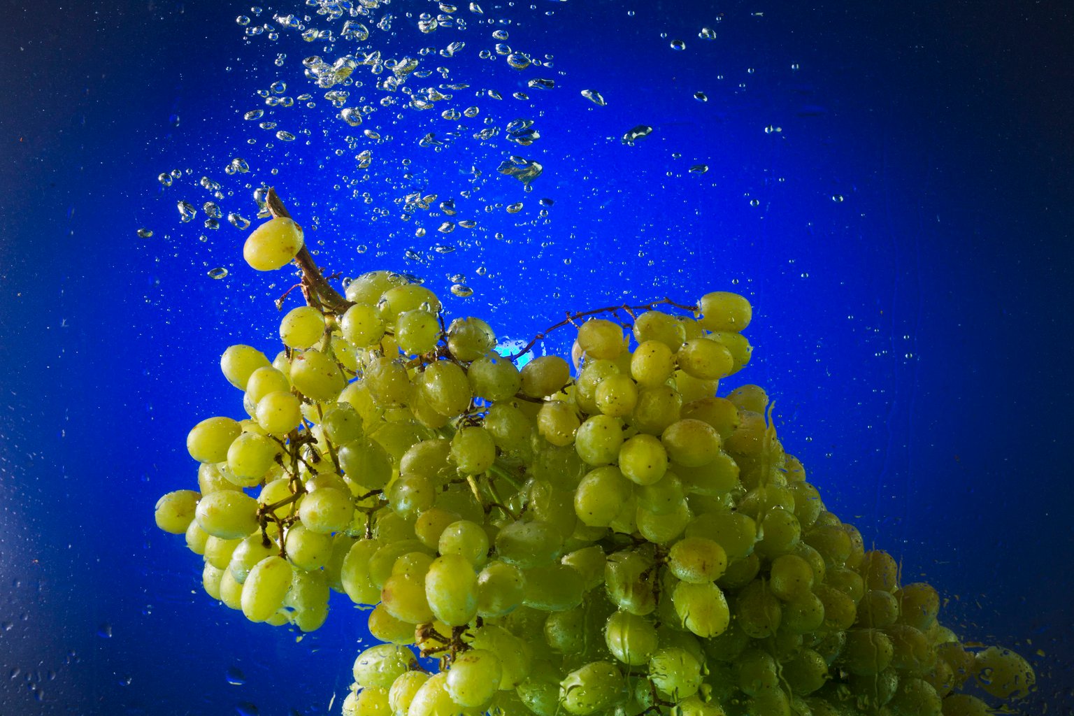 Cómo se controla la humedad relativa en la refrigeración industrial de alimentos