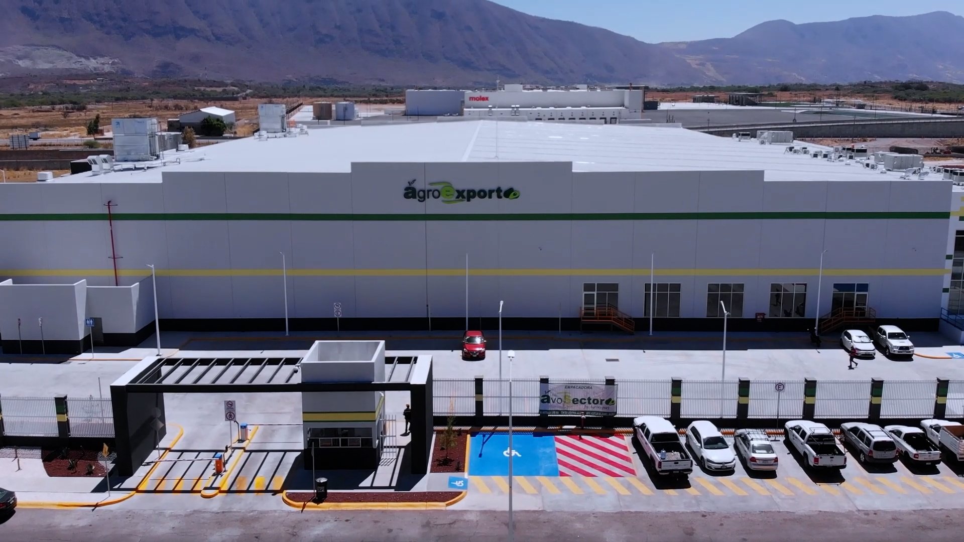 Agroexport sistema de pre-frío y conservación de aguacate